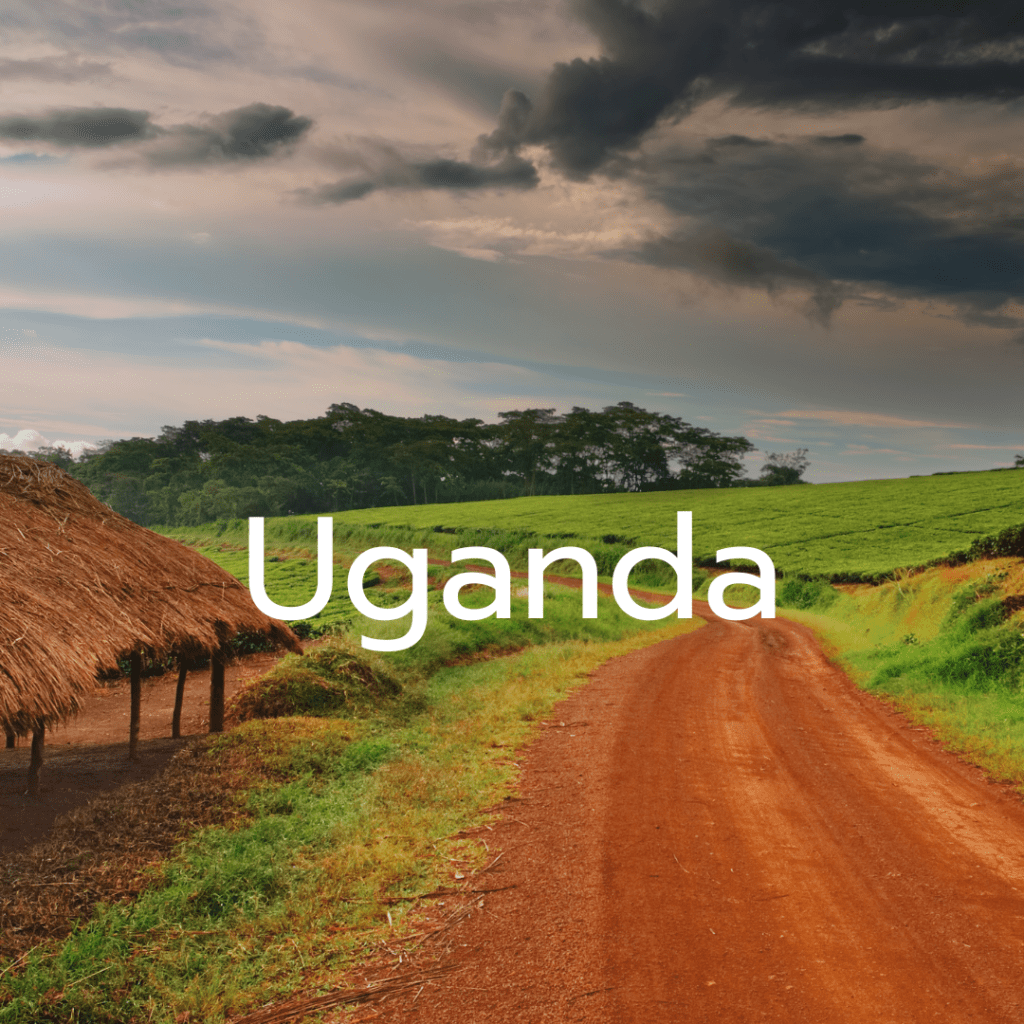 Programs by Country | Child Family Heath International